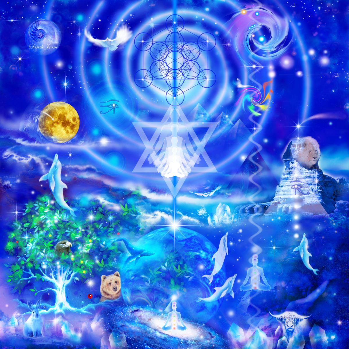 INFINITE LIFE FORCE© – Sibli Sarah Jeane